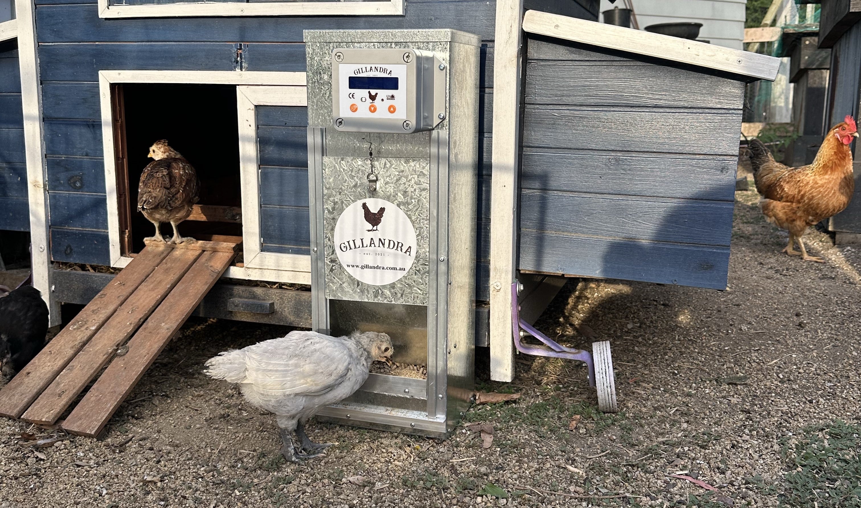 10kg (Small) Automatic Chicken Feeder- Auto10 – Gillandra